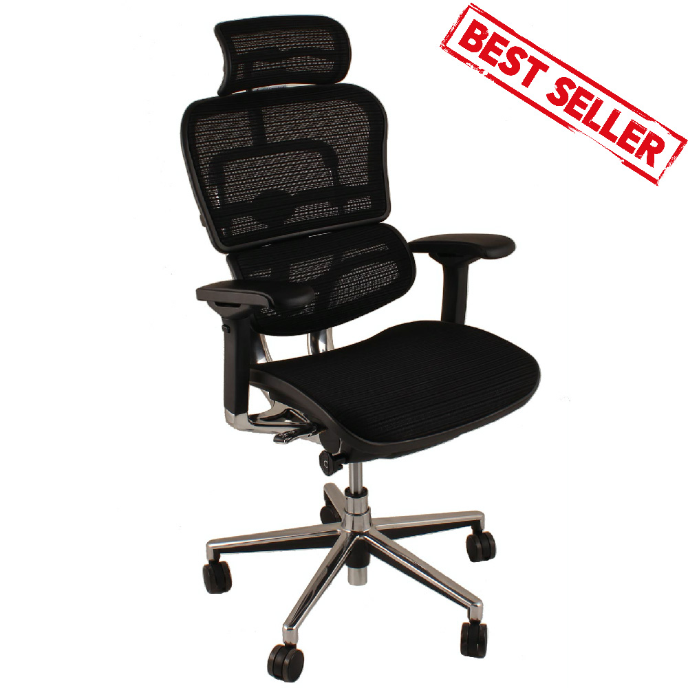 .Ergo Human Office Chair with Head Rest